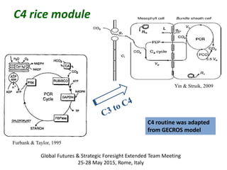 3 gfsf irri progress | PPTX