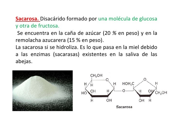 Sacarosa Que Es