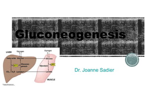 Gluconeogenesis,,,,,,,,,,,,,,,,,,,,,,,,, | PPTX
