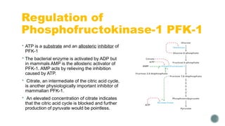 Gluconeogenesis,,,,,,,,,,,,,,,,,,,,,,,,, | PPTX
