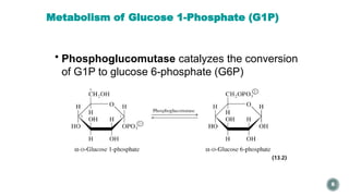 Gluconeogenesis,,,,,,,,,,,,,,,,,,,,,,,,, | PPTX