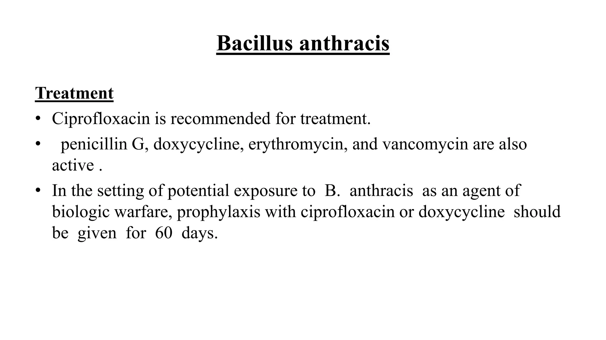 Gram Positive Spore Forming Rods | PPTX