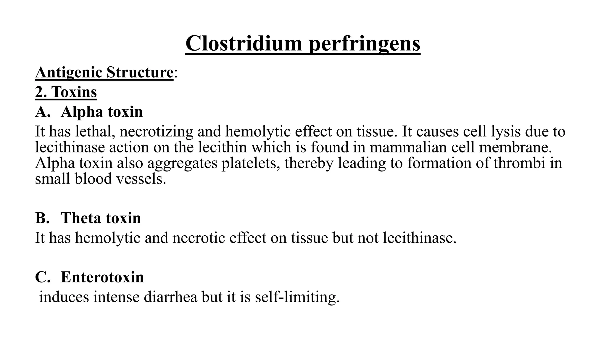 Gram Positive Spore Forming Rods | PPTX