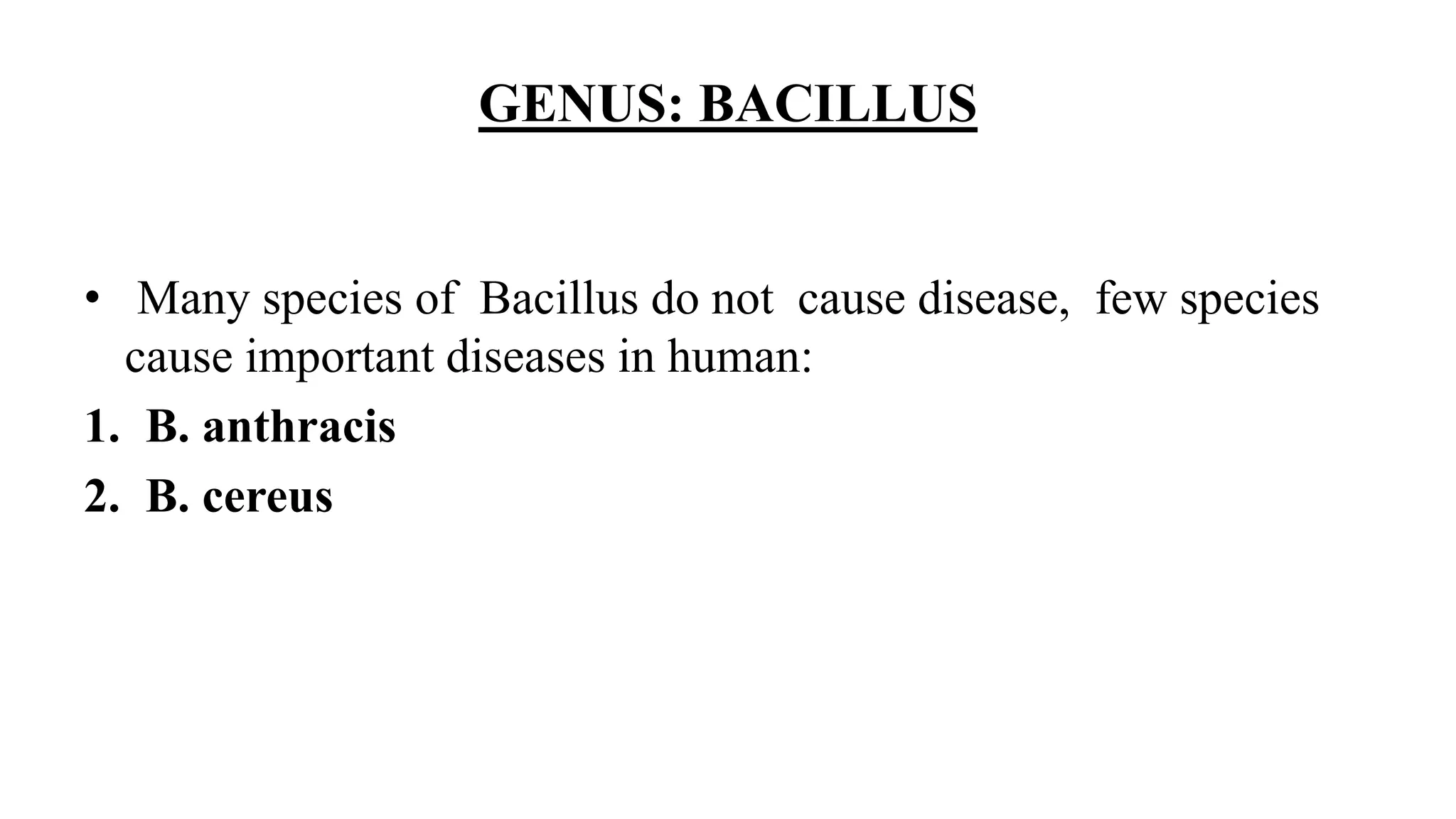 Gram Positive Spore Forming Rods | PPTX