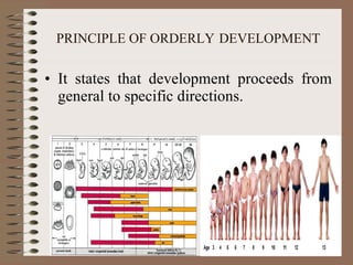 Growth n development with principles | PPT