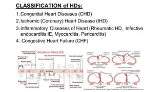 3- Heart pathology and diseases of the heart | PPT