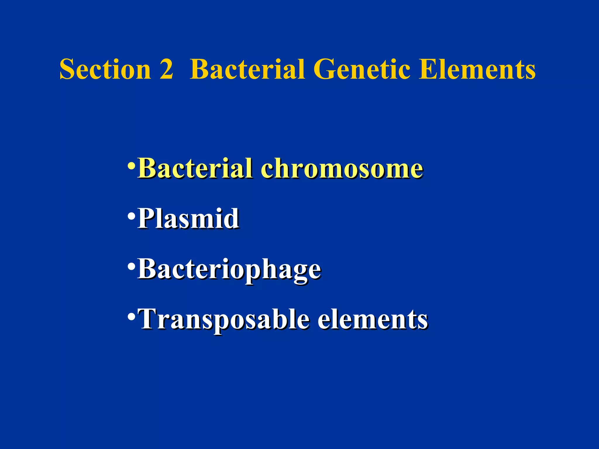 3 heredity and variation of bacteria | PPT