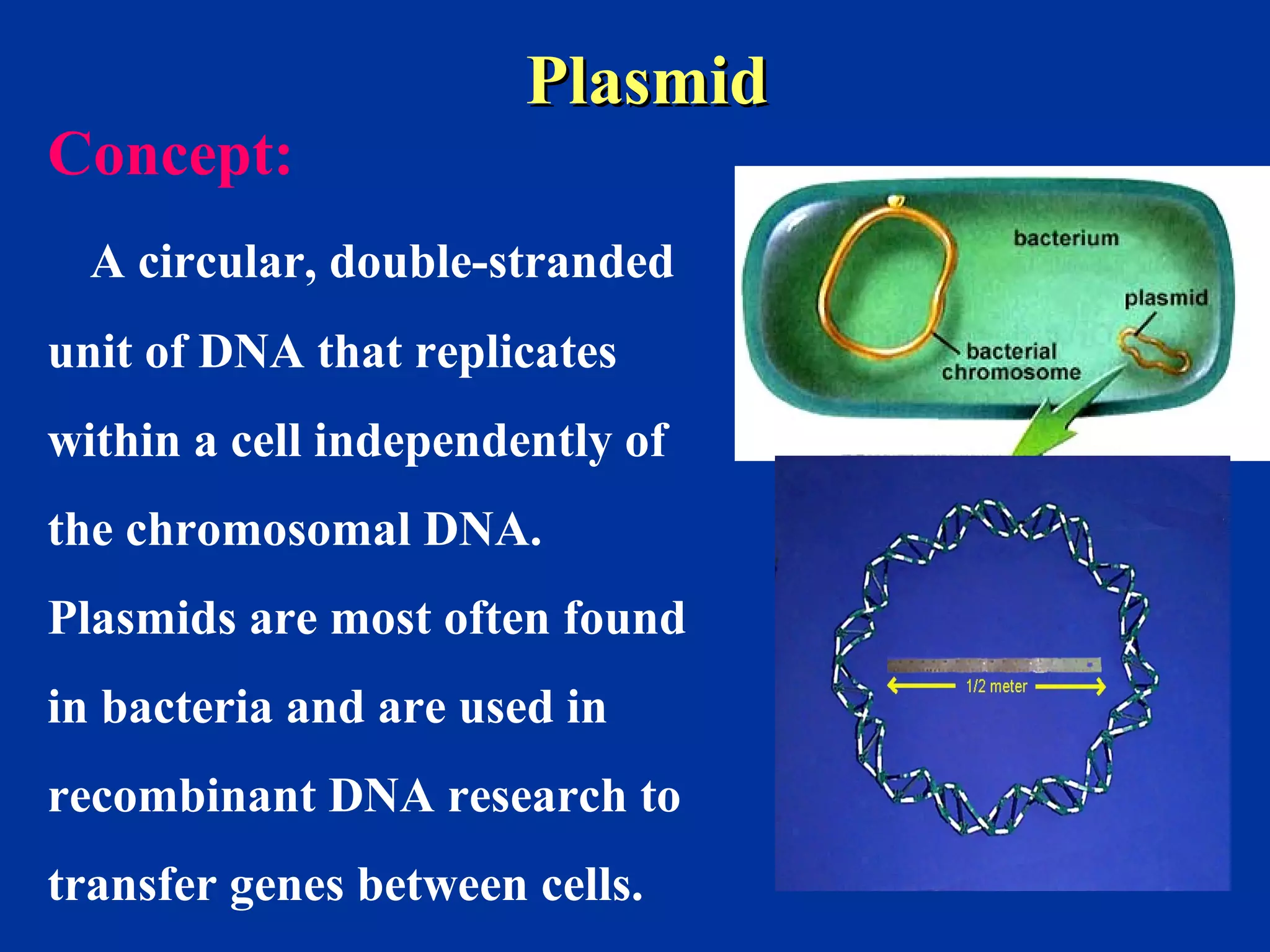 3 heredity and variation of bacteria | PPT