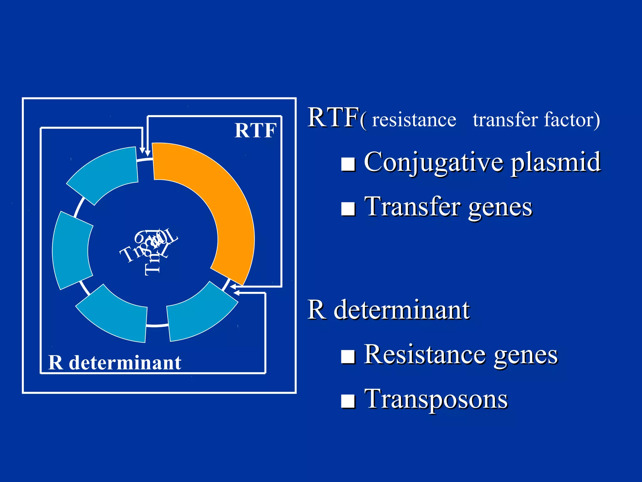 3 heredity and variation of bacteria | PPT