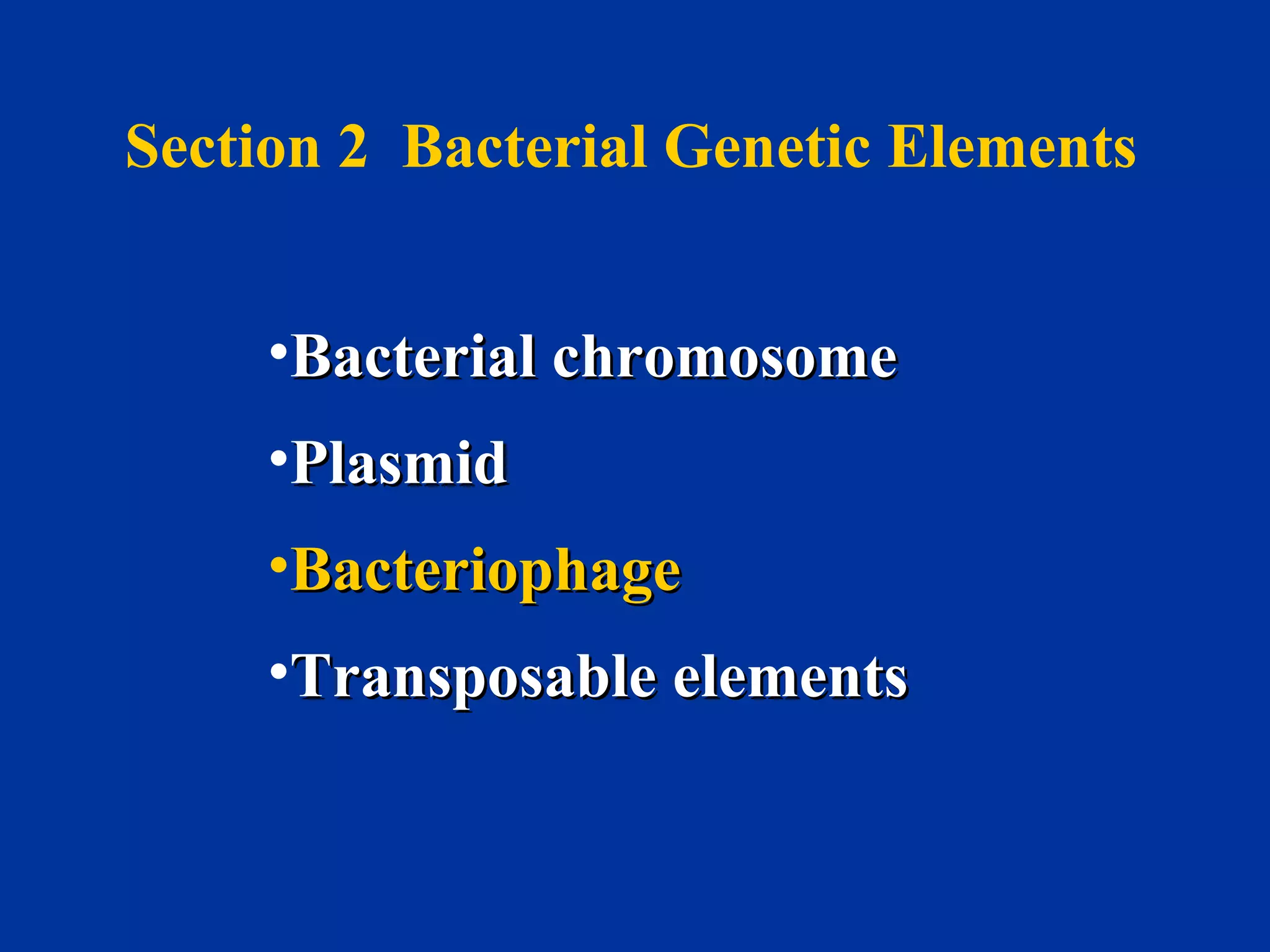 3 heredity and variation of bacteria | PPT