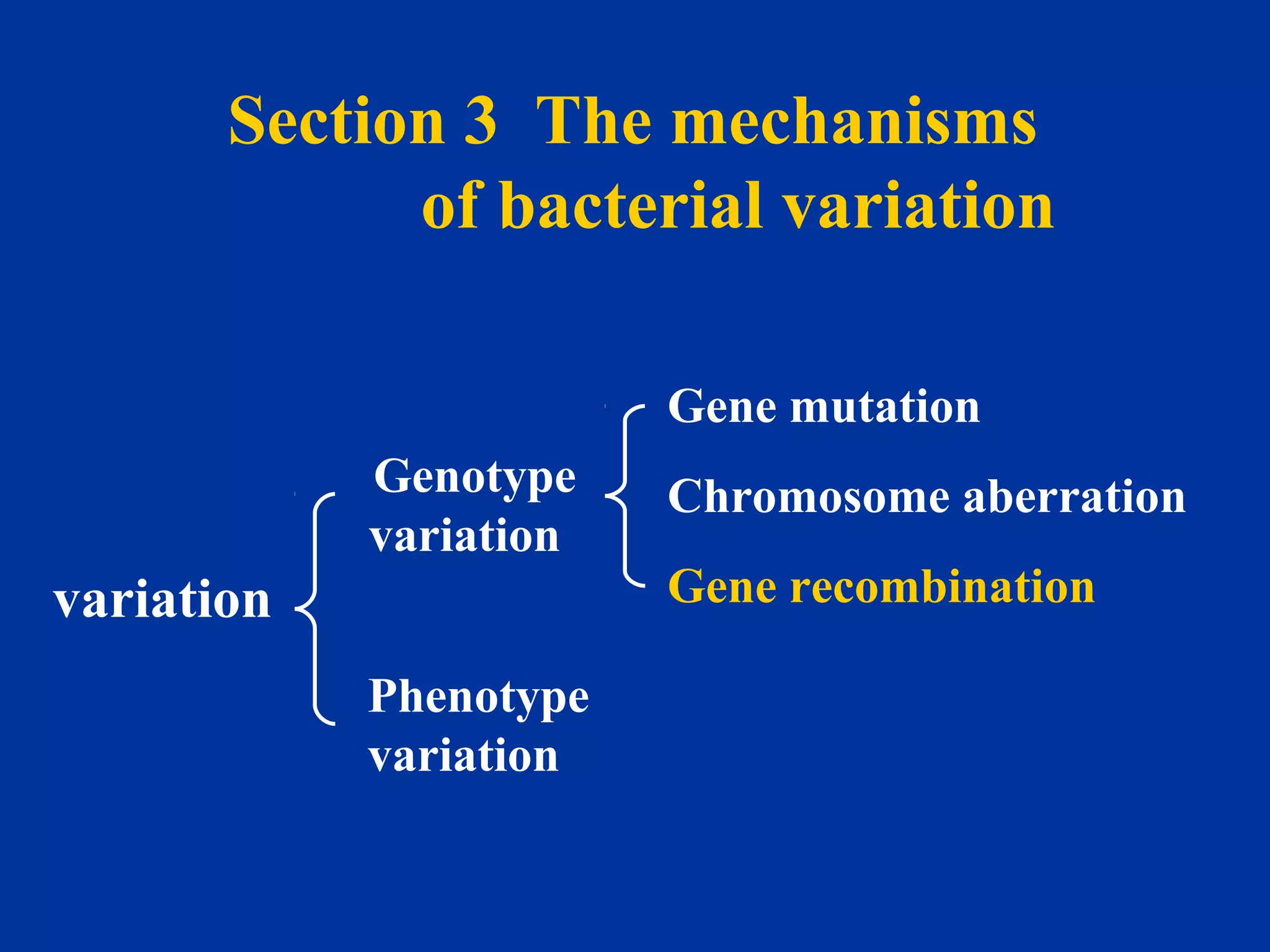 3 heredity and variation of bacteria | PPT
