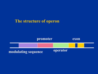 3 heredity and variation of bacteria | PPT