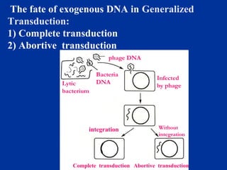 3 heredity and variation of bacteria | PPT