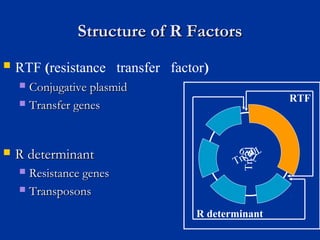 3 heredity and variation of bacteria | PPT