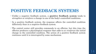 an introdcution to Homeostasis and general concepts | PPT