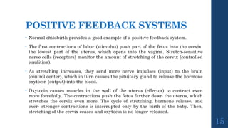an introdcution to Homeostasis and general concepts | PPT