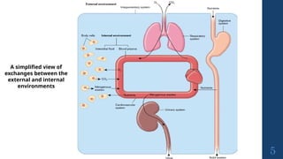 an introdcution to Homeostasis and general concepts | PPT