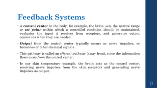 an introdcution to Homeostasis and general concepts | PPT