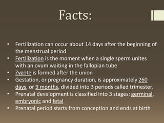 Human Reproductive System | PPTX