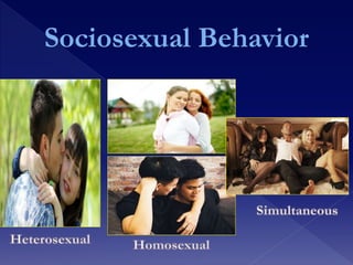 Human Sexual Behavior | PPTX