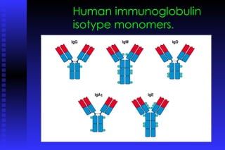 Functional organization of the Immune System | PPT