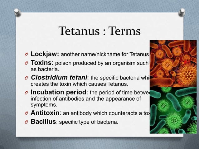 3 infectious and non-infectious disease rebecca | PPT