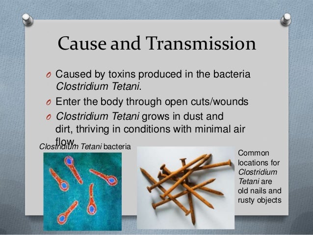 Ppt Noncommunicable Diseases Powerpoint Presentation