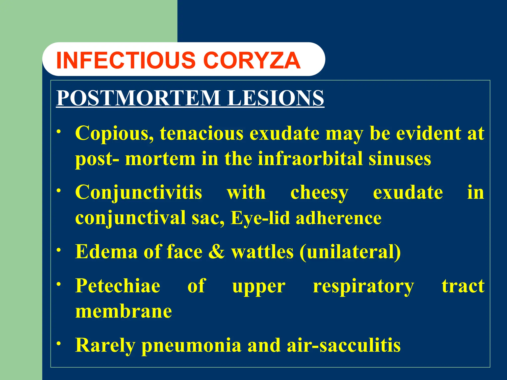 3-Infectious Coryza-disease-of-birds2017.ppt
