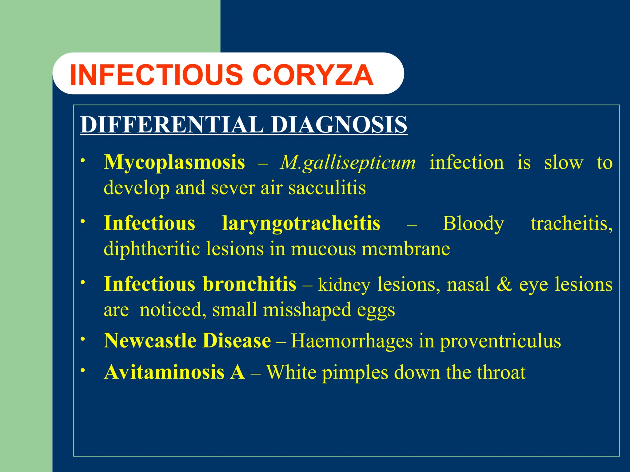 3-Infectious Coryza-disease-of-birds2017.ppt