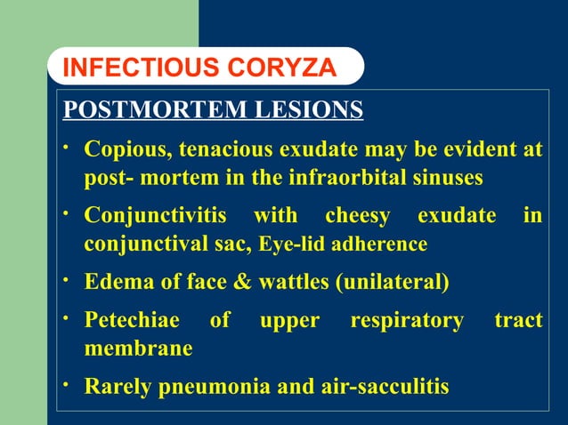 3-Infectious Coryza-disease-of-birds2017.ppt | Lung and Respiratory ...