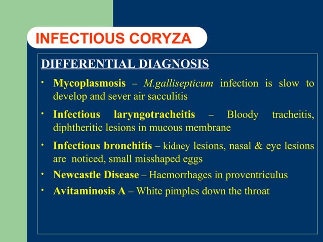 3-Infectious Coryza-disease-of-birds2017.ppt | Lung and Respiratory ...