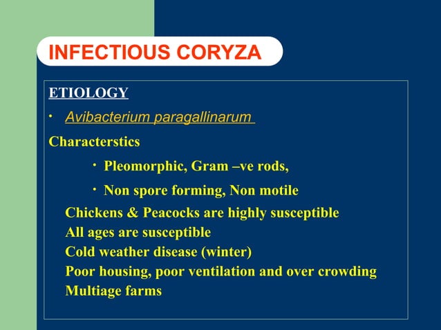 3-Infectious Coryza-disease-of-birds2017.ppt | Lung and Respiratory ...