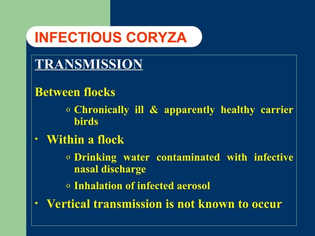 3-Infectious Coryza-disease-of-birds2017.ppt | Lung and Respiratory ...