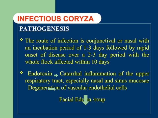 3-Infectious Coryza-disease-of-birds2017.ppt | Lung and Respiratory ...