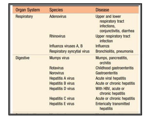 List Human Viruses