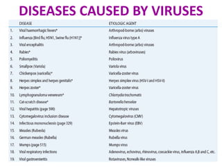 List Human Viruses