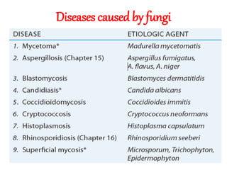 Diseases Caused By Fungi