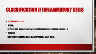 3 inflamm | PPT