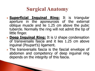 Inguinal Canal Anatomy Ppt