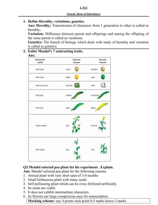 3-inheritanc-and-variation.pdf HSC BIOLOGY 3-inheritanc-and-variation | PDF