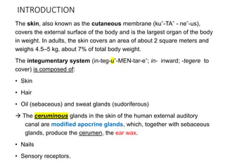 ANATOMY AND PHYSIOLOGY 3- INTEGUMENTARY system.pdf