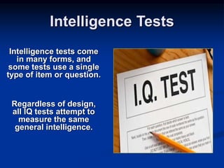 Intelligence | PPT
