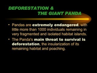 3 J Marilyn Tan, Deforestation | PPT