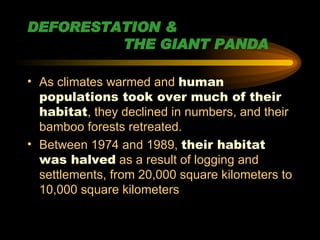3 J Marilyn Tan, Deforestation | PPT