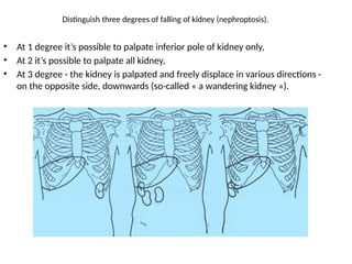 3-KIDNEY and urinary tract INVESTIGATION.pptx