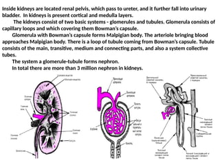 3-KIDNEY and urinary tract INVESTIGATION.pptx