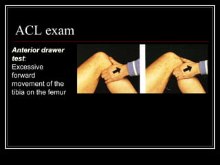 3-Knee Examination.ppt