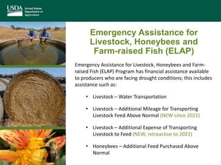 USDA Farm Service Agency: Addressing Drought – Coping with the impacts ...