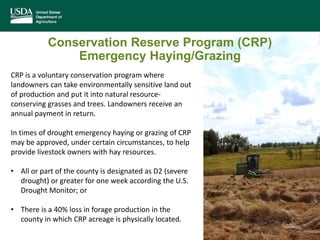 USDA Farm Service Agency: Addressing Drought – Coping with the impacts ...