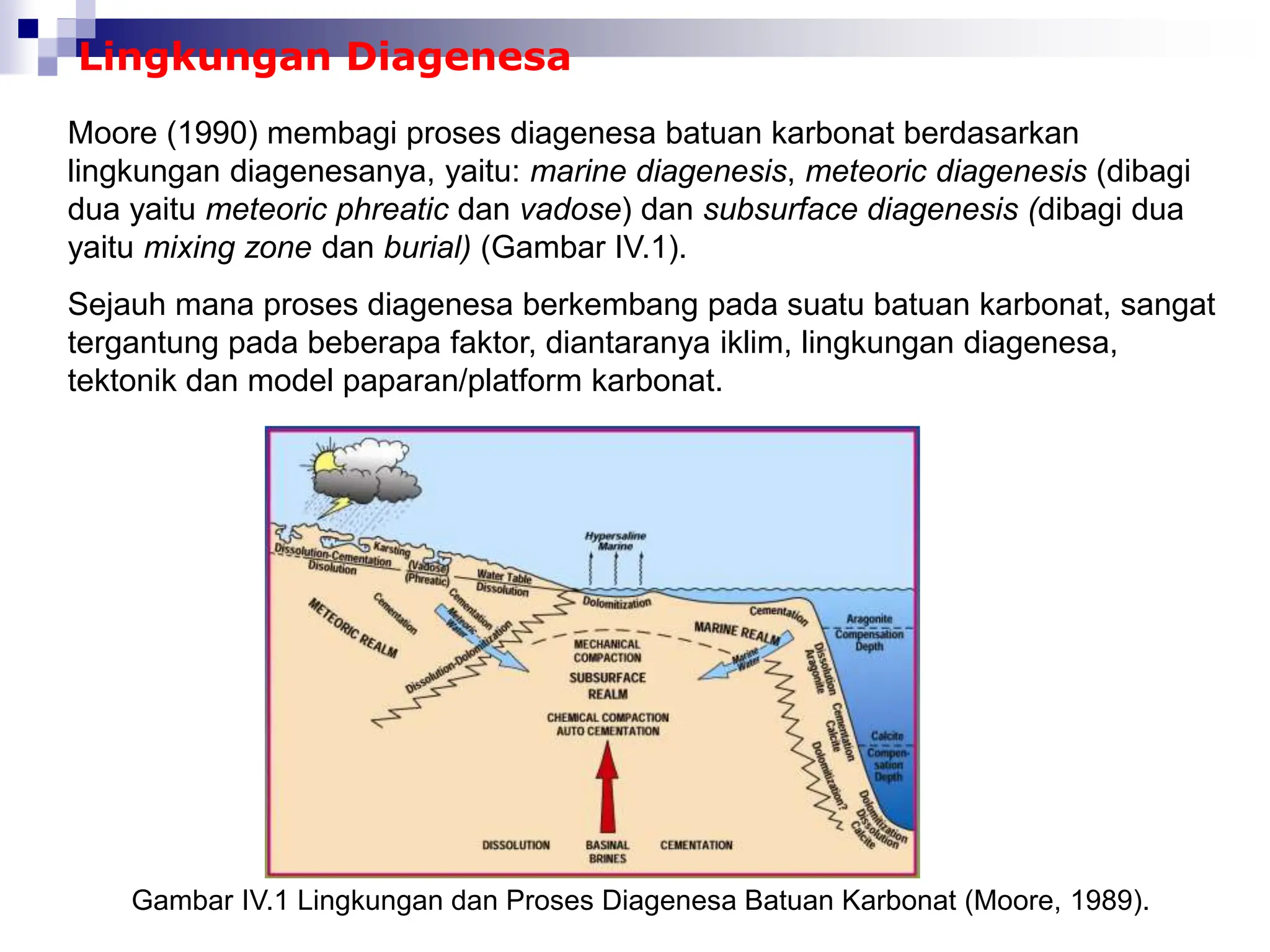 materi kuliah DIAGENESA batuan KARBONATT | PPT